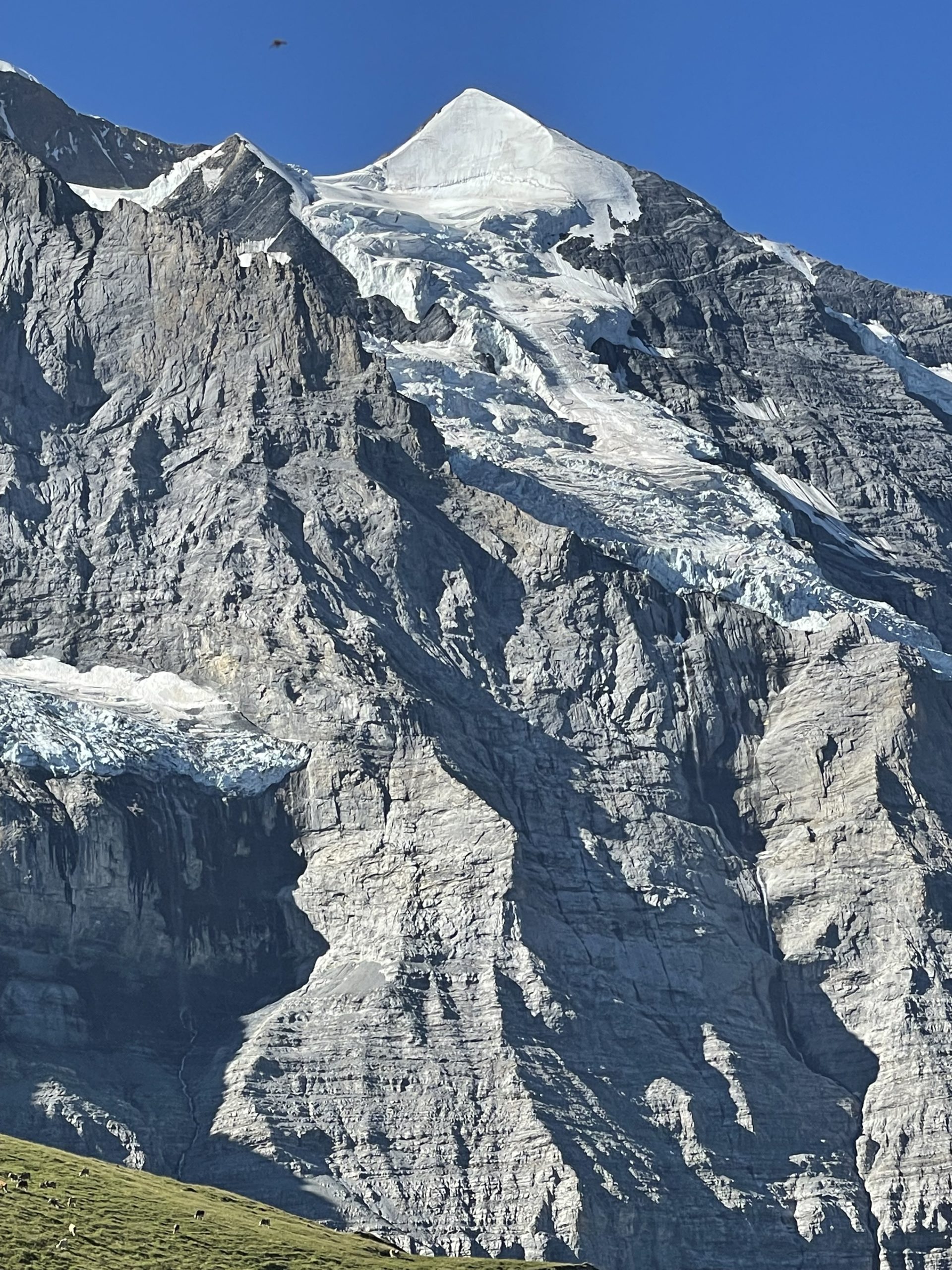 Swiss「Eiger,Jungfrau,Mench」Interlaken 第3クール D ILYA 13 | ILYA ...
